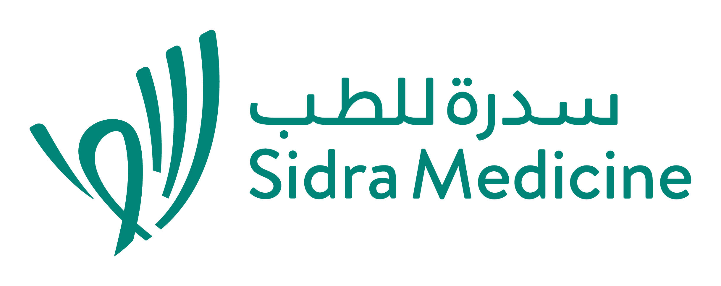 Sidra Site